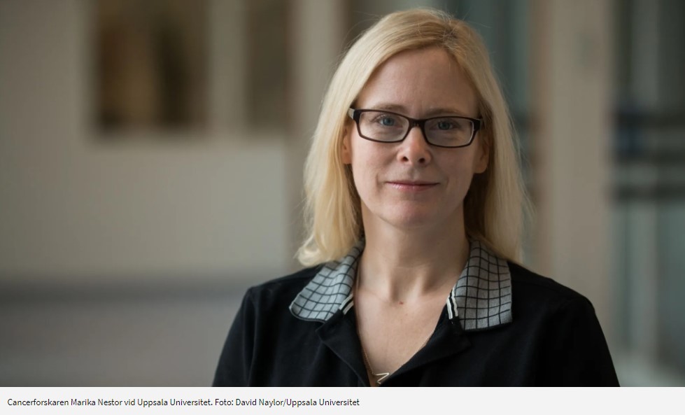 Så kan cancer botas med målsökande molekyler. | Prostatacancerförbundet